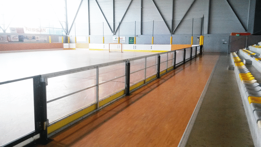 Rink hockey | Sport Nature